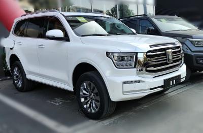 Cina Gwm Tank 500 SUV edizione 2024 volante multifunzione e ESC per viaggi in famiglia ibrida in vendita