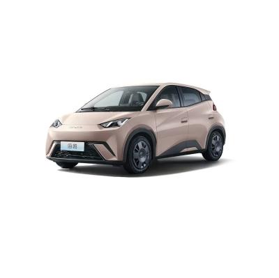 Green Byd Seagull 2023 Manufacture Motor Energy Vehicle Electric Ev Car in Black