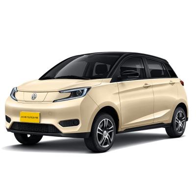 Cina 2022 Auto elettriche usate 13,9KWh Consumo di energia Tempo di ricarica veloce 0,8h Comodo in vendita