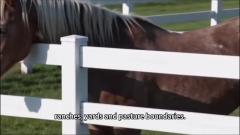 The application of PVC Ranch Fence in outdoor settings