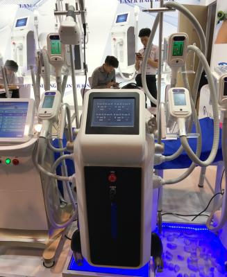 China newest fda approval cryolipolysis slimming machine with 4 different handle sizes for sale