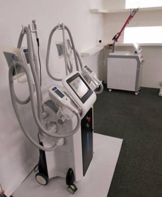 China CE approved professional clinic use 4 sizes cryo handles working together cryolipolysis apparatus for sale