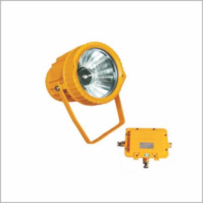 China MH Explosion Proof Floodlight for sale