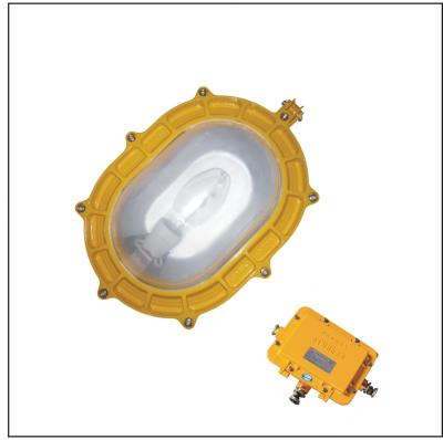 China Indoor / Outdoor Explosion Proof Floodlight IP65 AC220V , 70w / 100w / 150w for sale