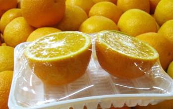 Cina Macchina arancio dell'involucro della mano del vassoio, macchinario guidato manuale di imballaggio per alimenti in vendita