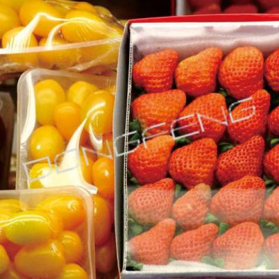 Cina Acciaio inossidabile manuale Shell/macchina avvolgitrice allungamento del pallet per i prodotti alimentari in vendita