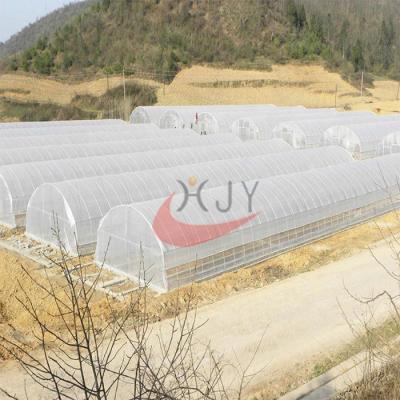 China Agricultural Single Span Plastic Film Greenhouse Agricultural Single Span Greenhouse for sale