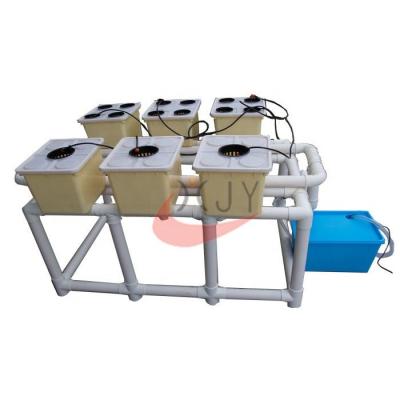 China Hydroponic Grow Used Dutch Bucket System Dutch Bucket Hydroponic System For Sale for sale