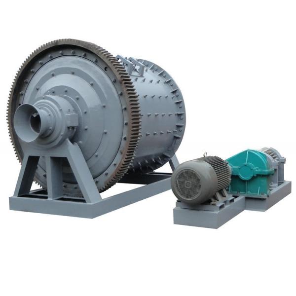 Quality Gold Mine Batch Ball Mill with Wet or Dry Grinding Way and Gear Included for sale
