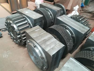 Cina Fornitura di 1-30 t/h di segmenti di rotolamento per macchine di briquette e di calzature per cuscinetti per rotolatori a caldo freddo in vendita