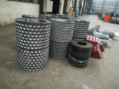 Cina Fornitura di 1-30 t/h di segmenti di rotolamento per macchine di briquette e di calzature per cuscinetti per rotolatori a caldo freddo in vendita