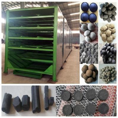 China 3-45 Tons Capacity Coal Charcoal Ball Briquettes Dryer Machine with Automatic Control for sale