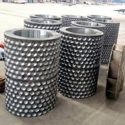 China 3-45 Tons Capacity Coal Charcoal Ball Briquettes Dryer Machine with Automatic Control for sale