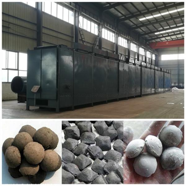 Quality 2024 Coal Ball Mesh Belt Conveyor Drying Oven with and Far Infrared Heating for sale