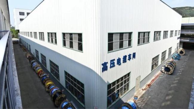 √ N2XSEY 6/10 (12 die) kV, 3 Koperkern, XLPE met pvc-de Machtskabel van het schede Middelgrote Voltage wordt geïsoleerd