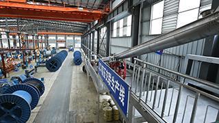 √ N2XSEY 6/10 (12 die) kV, 3 Koperkern, XLPE met pvc-de Machtskabel van het schede Middelgrote Voltage wordt geïsoleerd