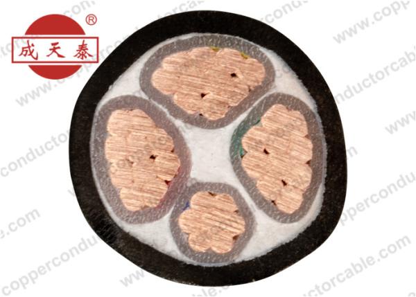Low Voltage XLPE Insulated Power Cable For Electricity Supply Unarmoured & Armoured