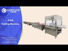 Mango Cake Forming Machine