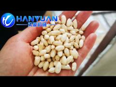 Rice Puffing Machine