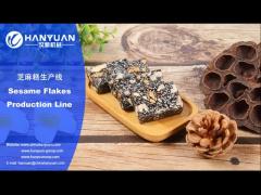 Sesame Candy Production Line丨Sesame Flakes Processing Line