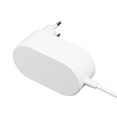 Cina Umidificatore Adattatori spina UE 24V 1.0A Potenza in uscita con design ODM in vendita