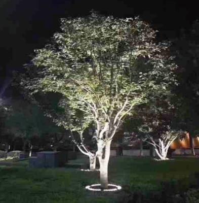 Китай IP67 образовало дугу утопленная поддержка СИД подземная светлая одиночная RGB RGBW DMX512 DALI продается