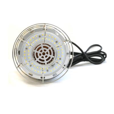 Cina il portatile del cavo 6500K 60W di 25ft ha condotto la luce temporanea in vendita