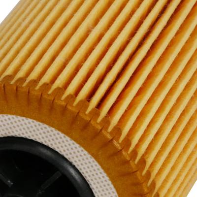 Cina Filtro per olio per auto da 1 kg per pompa 071115562 045115466 A 1118184 045115389C 070115562 OX188D in vendita