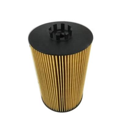 Cina P550820 Parti di motori idroelettrici Elemento di filtraggio del lubrificante 11110427 51055040107 20998807 2596171C91 in vendita