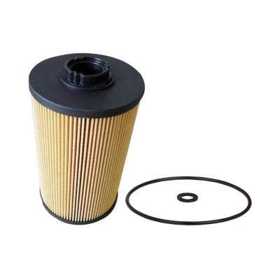 Cina Yn21p01036r100 SN25044 P502423 Filtro del carburante per parti di auto in vendita