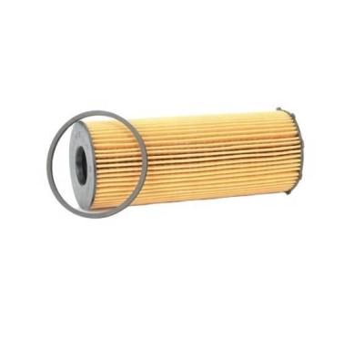 Cina 057115561K Ricambi per motori di camion Hydwell Cartuccia di filtro per olio lubrificante per altri accessori per auto in vendita