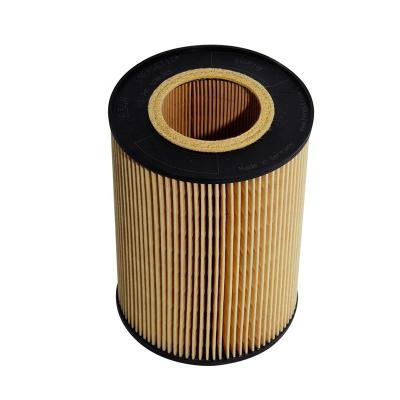 Cina Ferro HYDWELL Auto Parts OEM 1397764 1397765 Filtro d'olio per autocarri e veicoli in vendita