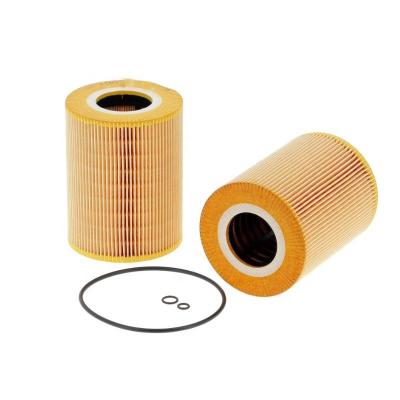 Cina Filtro olio automatico per camion Hydwell OE646/1 LF3867 E13HD47 OX146D HU1381X LF3867 51055040098 in vendita