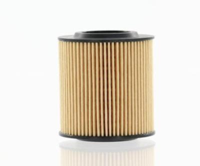 Cina Filtro per olio di lubrificante per trattore certificato CE 1WA014302 SO6191 con cartuccia di carta filtrabile in vendita