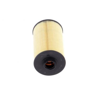 Cina Sostituire/riparare in modo efficiente il filtro del carburante Pf9868 P502423 per l'escavatore Mmh80580 Hydwell in vendita