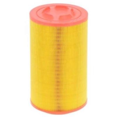Cina Nome della parte Filtro dell'aria 7521982 P782104 SA17193 C23610 5SR0493744 0007521980 0007521981 in vendita
