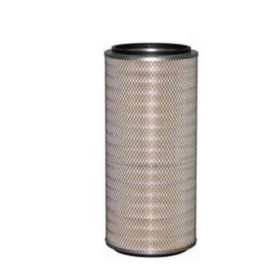 Cina AF25544 AF25545 Filtro d'aria per motori di trattori P619372 P607224 Altro anno in vendita