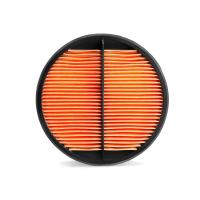 China Hydwell RE181915 Air Filter Element for Tractor Engine, High Efficiency Filter Paper for sale
