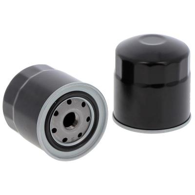 Cina Elemento di filtro del carburante per autoveicoli 23401-1330 23304EV060 1132400520 P550225 FF550225 Standard in vendita