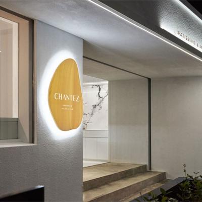 Cina CC d'attaccatura spazzolata di titanio 12V del segno di Lightbox per il LOGO anteriore del deposito del negozio in vendita