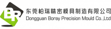 Dongguan Boray Precision Mould Co., Ltd
