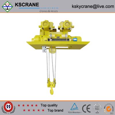 China High Quality Wire Rope Electric Metallurgy Hoist for sale