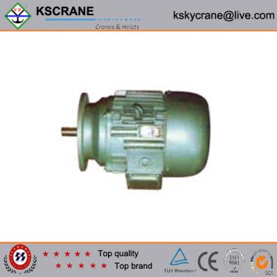 China Attractive and reasonable price electric hoist motor for sale