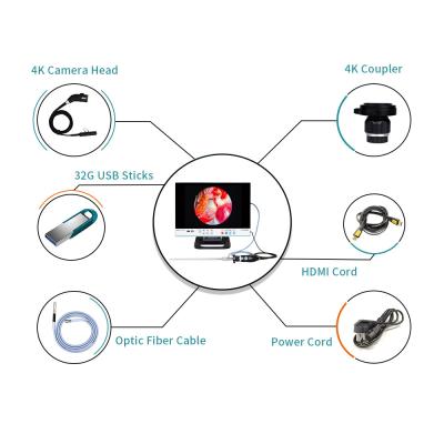 China TUYOU Support AWB 4K UHD LCD Monitor Medical Endoscopy Camera for Laparoscope Spine Arthroscopy for sale