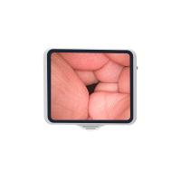 China Flexible Endoscope Camera System Reusable Endoscope Camera With Screen For Surgery for sale