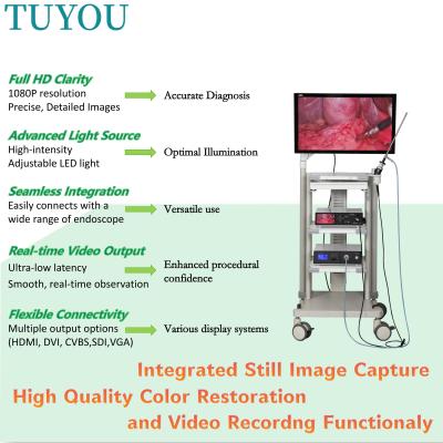 China 1080P High Definition Camera With Integrated Video Recorder And Light Source For Laparoscopy Surgery Endoscope Image for sale