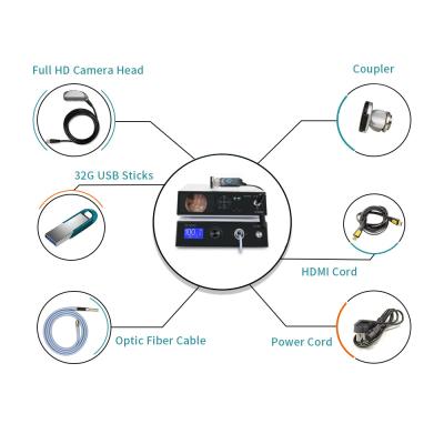 China 1080P High Definition Camera With Integrated Video Recorder And Light Source For Laparoscopy Surgery Endoscope Image for sale