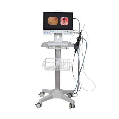 Cina Interfaccia di uscita HDMI/SDI/CVBS/VGA/DVI e sorgente luminosa integrata in vendita