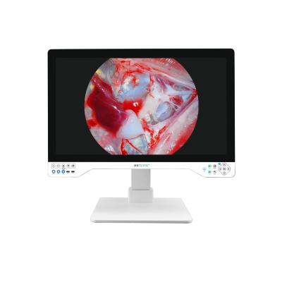 China 4K All In One Endoscope Camera System Built-in LED Light With 32 Inch Medical Monitor for sale