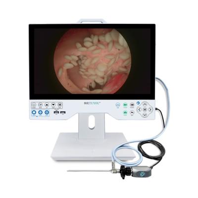 China 15 Inch FHD Flexible And Rigid Endoscope Camera System With Record Compatible For Surgery Using for sale